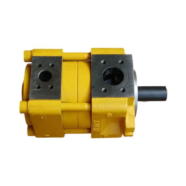 Quality QT Series Eternal Hydraulic Internal Gear Pump for sale