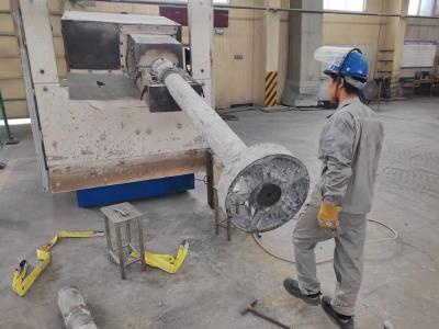 중국 알루미늄 발사용 효율적인 스테인리스 스틸 회전 디가스화 장치 판매용