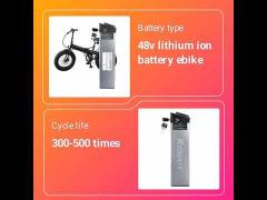 Extra de fietsbatterij van „Lectric“ XP