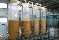 China Ion Exchange Pure Water Treatment System 1-100 m3/h Customized High Efficiency for sale