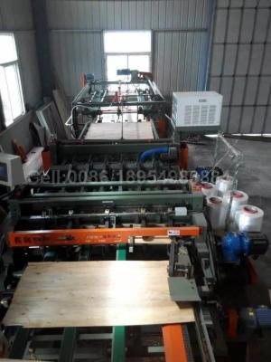 China High-tech Core Veneer Composer in plywood factory for sale
