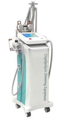 Китай Замораживание Cryolipolysis тучное уменьшая машину продается