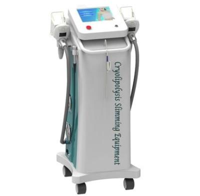 Китай Машина Cryolipolysis ультразвуковая уменьшая продается