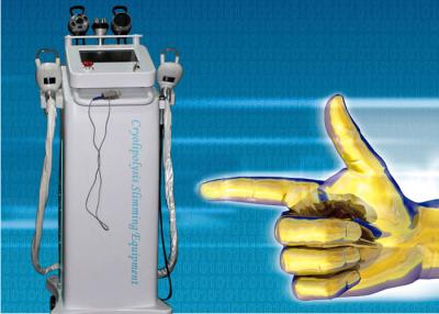 Китай Тучная кавитация RF Cryolipolysis Freez уменьшая машину для уменьшения тела продается