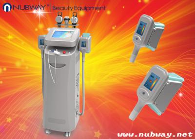 Cina Gelata grassa di Cryolipolysis di cavitazione ultrasonica che dimagrisce macchina per la modellatura del corpo in vendita