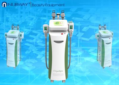 Cina Gelata grassa di Cryolipolysis della gelata grassa che dimagrisce cavitazione a macchina di rf per la femmina in vendita