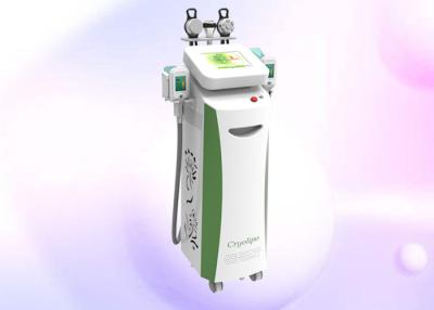 Cina Gelata grassa di Cryolipolysis della liposuzione che dimagrisce macchina, Zeltiq CoolSculpting che dimagrisce macchina in vendita