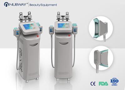 Cina Liposuzione Cryolipolysis del laser che dimagrisce macchina per il salone di bellezza con 5 maniglie in vendita