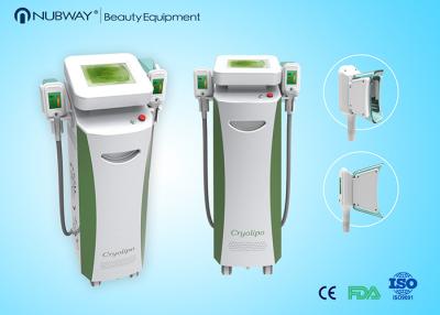 Cina 1800W Cryolipolysis bruciante grasso che dimagrisce attrezzatura, dispositivo di bellezza di crioterapia in vendita