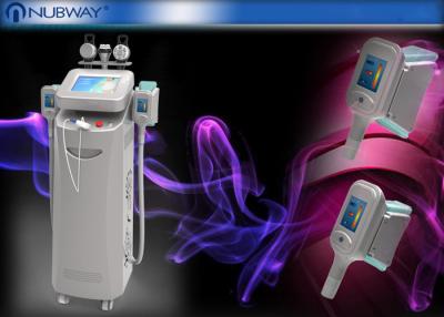 Cina 5 faccia funzionare le maniglie Cryolipolysis che dimagrisce la macchina, macchina di perdita di peso in vendita