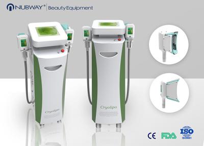 Cina Gelata grassa blu di Cryolipolysis di due maniglie che dimagrisce riduzione delle celluliti che dimagrisce macchina in vendita