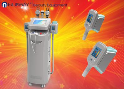Cina Schermo a colori a 10.4 pollici Cryolipolysis che dimagrisce attrezzatura per il dimagramento del corpo in vendita
