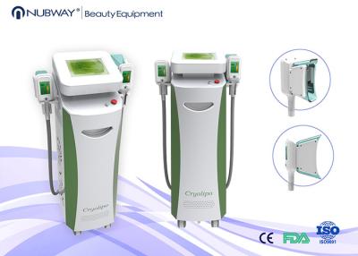 Cina Progettazione avanzata Cryolipolysis che dimagrisce macchina/l'attrezzatura salone di bellezza in vendita