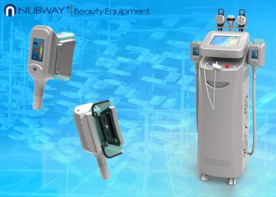 Cina Maniglie Cryolipolysis del professionista 5 che dimagrisce macchina, macchina di bellezza di perdita di peso in vendita
