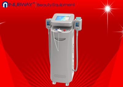 Cina Cavitazione Cryolipolysis di rf che dimagrisce macchina/gelata grassa Cryolipolysis per la combustione grassa in vendita