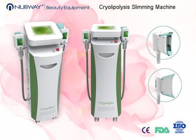 Cina Ente fresco di Poweful Cryolipolysis che scolpisce riduzione a macchina del grasso di Liposonix in vendita