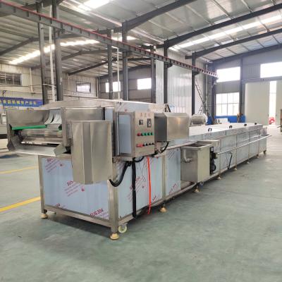 China Blanching Machine for Fruits and Vegetables High Efficiency Washing Equipment for sale
