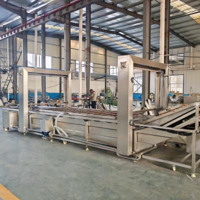 China New Washing Machine for Green Coconut with Core Components Pump Engine PLC for Manufacturing Plants Food Shops for sale