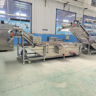 China Stainless Steel Sugarcane Avocado Radish Washing Machine Manufacturer for sale