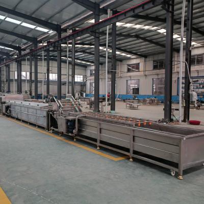 China Stainless Steel Mango Apple Cherry Avocado Orange Lemon Washing and Drying Machine for sale