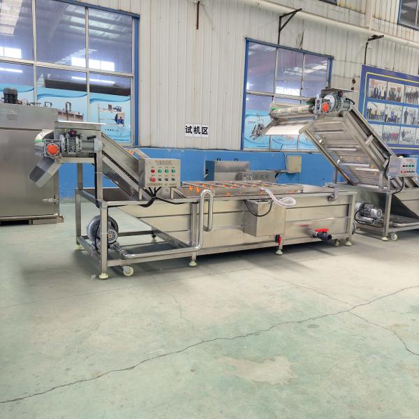 Quality Automatic Air Bubble Washing Machine for Mango Apple Cherry Orange Lemon for sale