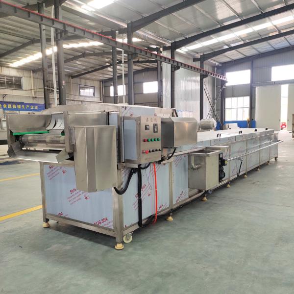Quality Industrial Automatic Dry Fruit Washing Drying Sorting Waxing Machine for sale