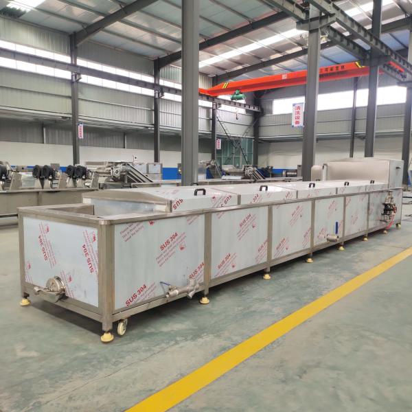 Quality Industrial Automatic Dry Fruit Washing Drying Sorting Waxing Machine for sale