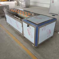 Quality Brush Roller Washing Machine Vegetables and Potato Washing Machine Ginger for sale