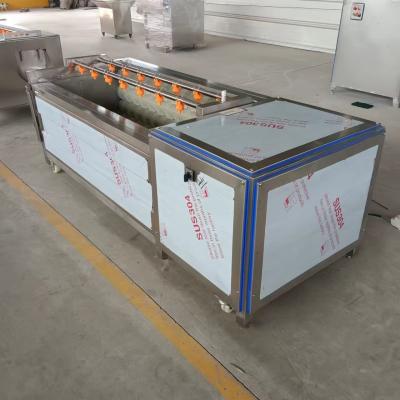 China Brush Roller Washing Machine Vegetables and Potato Washing Machine Ginger Peeling Machine for Farm and Food Factory for sale