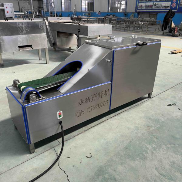 Quality Fish Gutting Gut Remove Cleaning Machine Fish Descaler Washing Machine for sale