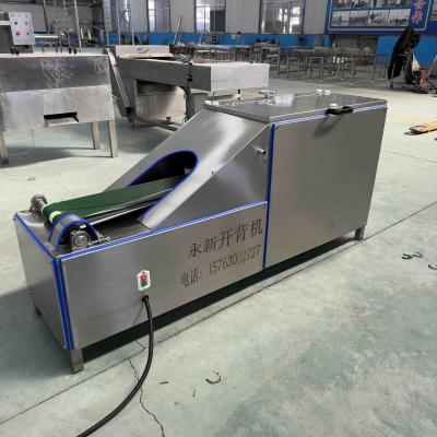 China New Automatic Fish Cleaning Machine Fish Scales Fish Scaling Machine and Gutting Machine for sale