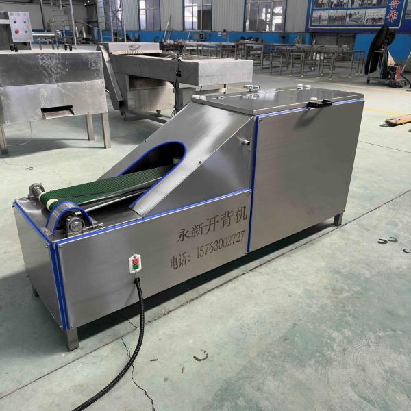 Quality New Automatic Fish Cleaning Machine Fish Scales Fish Scaling Machine and Gutting Machine for sale