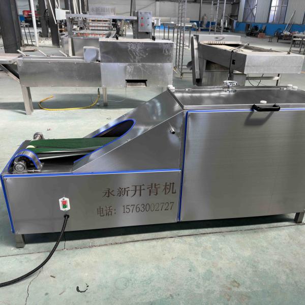 Quality Automatic Fish Cleaning Scaling Gutting Machine Price for Sardine Fish for sale