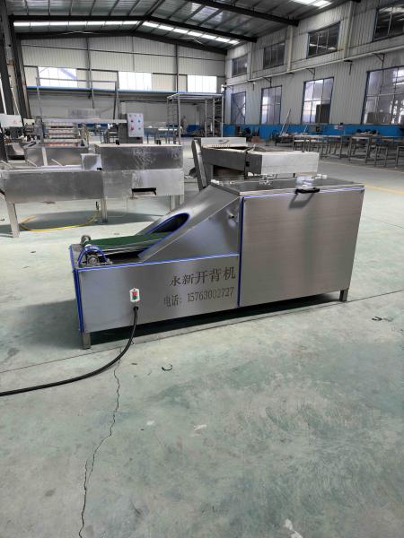 Quality Automatic Fish Cleaning Scaling Gutting Machine Price for Sardine Fish for sale