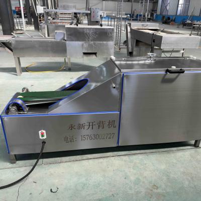 China Automatic Fish Cleaning Scaling Gutting Machine Price for Sardine Fish Processing Machines for sale