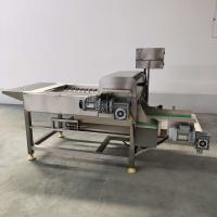 China Automatic Dry Fish Cutter Machine 220V 2000W for Fish Processing Industry for sale