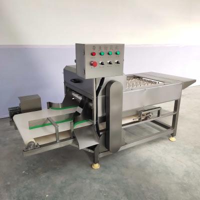 China Fish-processing-machine-price Automatic Machine Full Set Maldives Dried Pollock Dry Fish Cutter Machine for sale