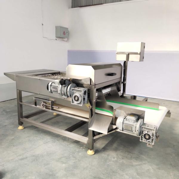 Quality Freshwater Sea Fish Food Processing Line Fish-Processing-Plant Tools and for sale