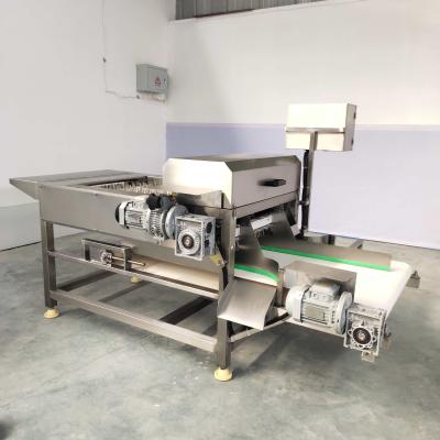 China Freshwater Sea Fish Food Processing Line Fish-Processing-Plant Tools and Equipment in Fish Processing for sale
