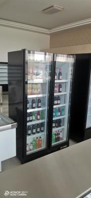 Cina R134a d'acciaio dipinto Mini Wine Cabinet in vendita