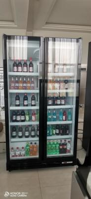 Cina R134a d'acciaio dipinto Mini Wine Cabinet in vendita