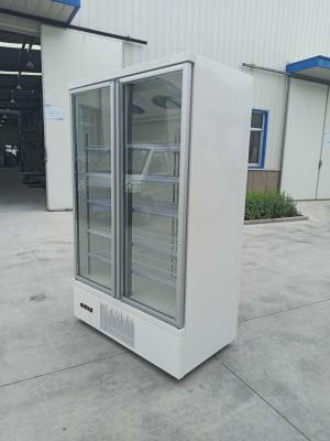 Cina Congelatore di vetro dritto 220V della porta della birra fredda della bevanda 1260L a 240V in vendita