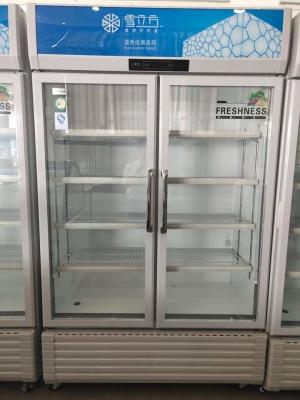 Cina Frigorifero dritto di Antivari dell'esposizione della doppia porta con la porta di vetro 738L in vendita