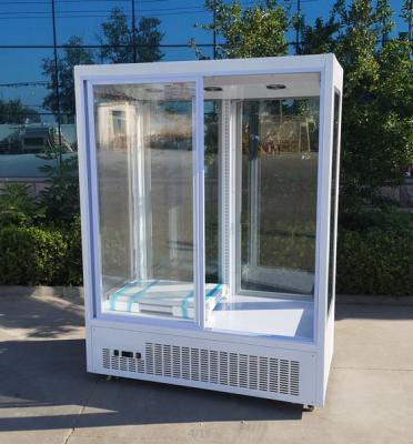Cina Portello scorrevole del supermercato del dispositivo di raffreddamento dritto dell'esposizione floreale in vendita