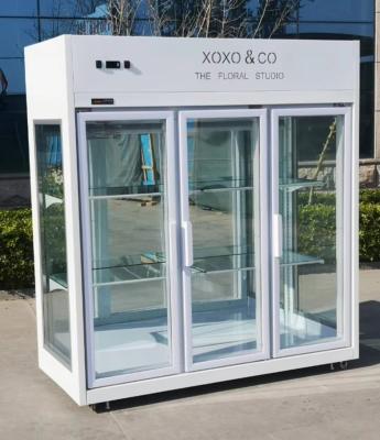Cina Grado più fresco di raffreddamenti a aria 2 - 8 dell'esposizione floreale di tre porte in vendita