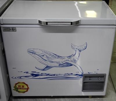 Cina Congelatore orizzontale un congelatore per la refrigerazione del raffreddamento Direct della carne e dell'alimento fresco in vendita