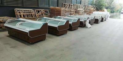 中国 屋外貯蔵のフリーザーの商業大容量は冷凍設備のカスタム設計する 販売のため