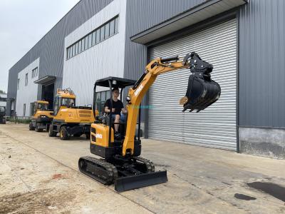 Cina Alta efficienza di Ton Mini Digger Hydraulic Crawler Farm Use del motore 2 di Kubota in vendita
