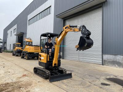 Cina Alta efficienza di Ton Mini Digger Hydraulic Crawler Farm Use del motore 2 di Kubota in vendita
