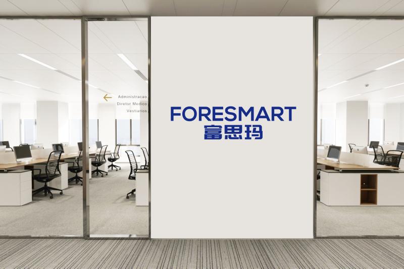 Επαληθευμένος προμηθευτής Κίνας - Shenzhen Foresmart International Forwarding Ltd.